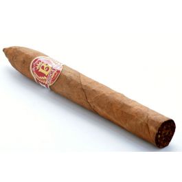 Brocatus Torpedo Review | Premium Cigar of the Month Club
