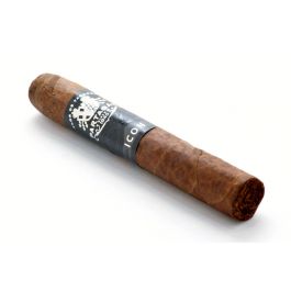 Partagas Icon Robusto