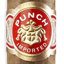 Punch Pita Review | Premium Cigar of the Month Club